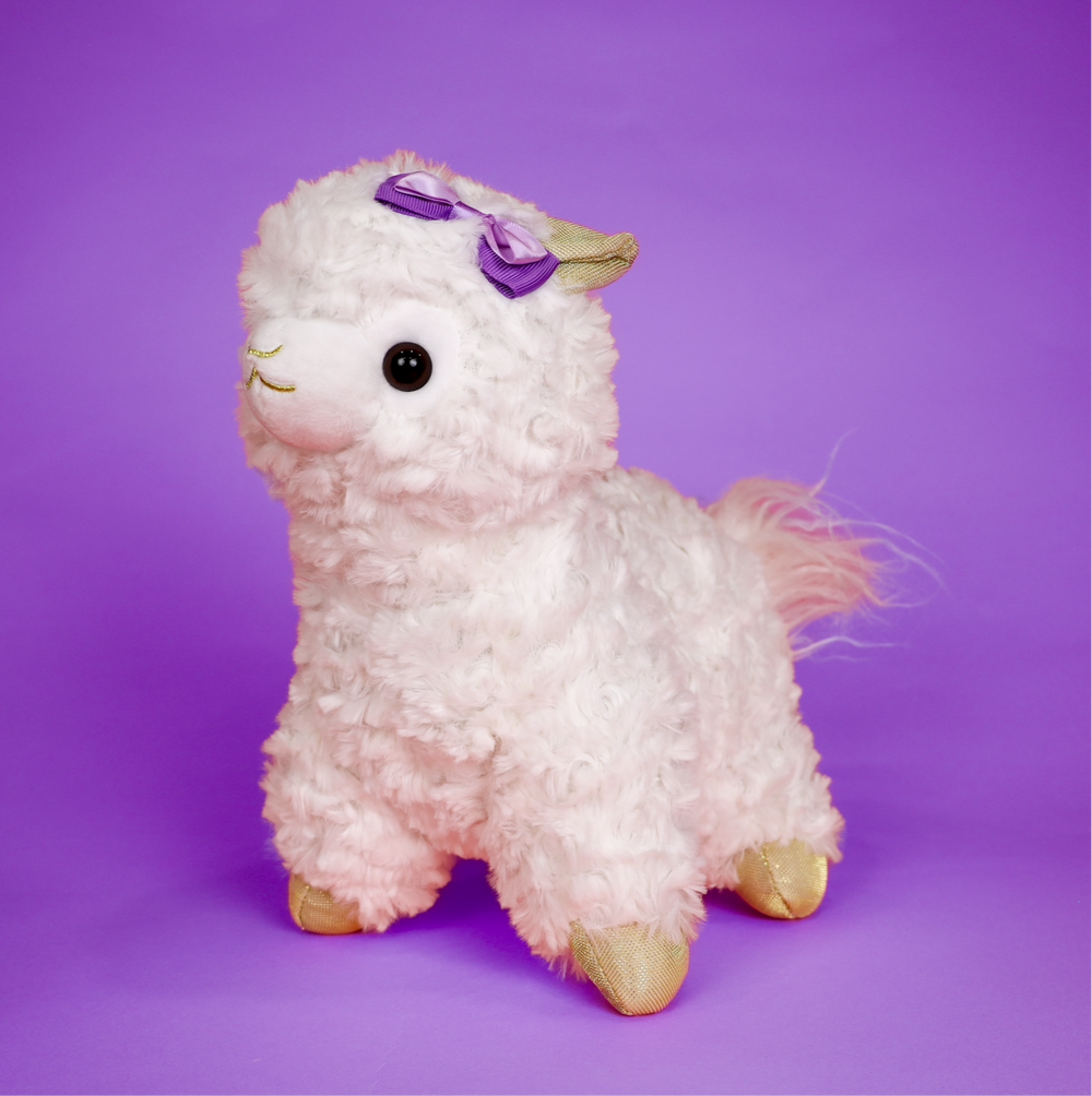 SHYBEAN – AmyyWoahh