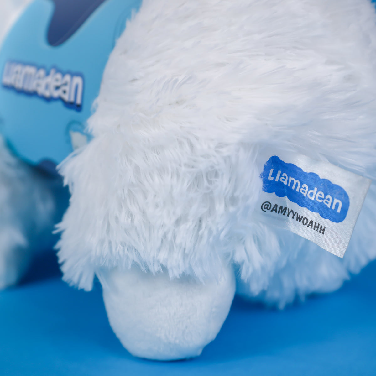 LLAMADEAN – AmyyWoahh