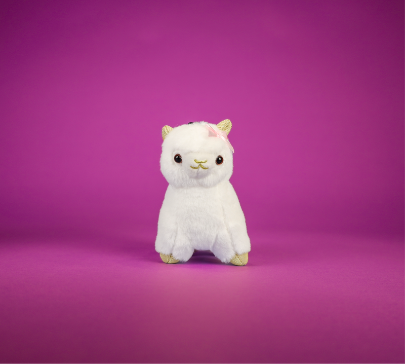 LLama's – AmyyWoahh