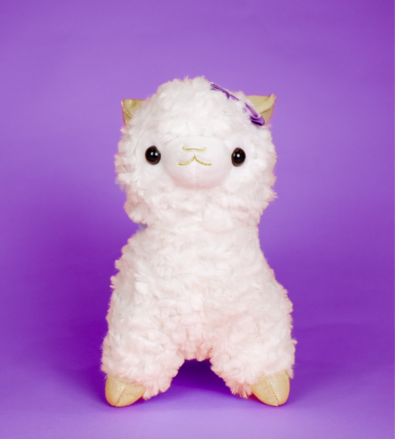 SHYBEAN – AmyyWoahh